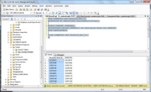 SQL Server Transparent Data Encryption ( TDE )
