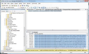 SQL Server Transparent Data Encryption ( TDE )